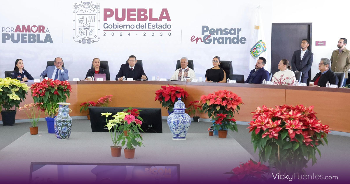 Puebla impulsa soberanía energética con paneles solares en Teziutlán