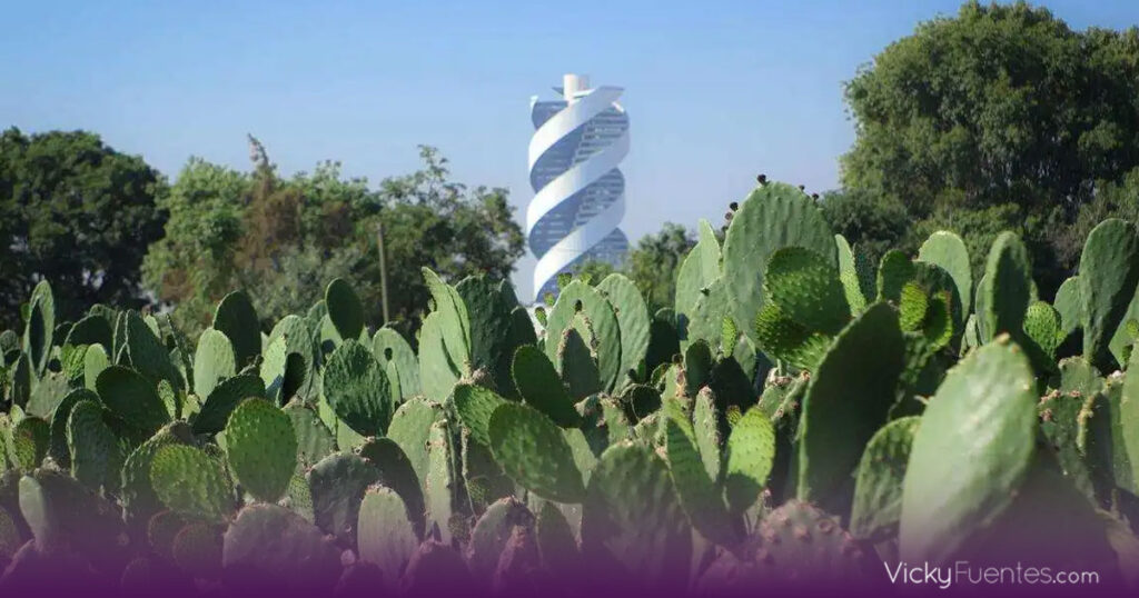 Feria del Nopal 2026 dejará 10 mdp en San Andrés Cholula